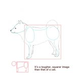 How to draw a dog (2) How to draw the body and pose | MediBang Paint