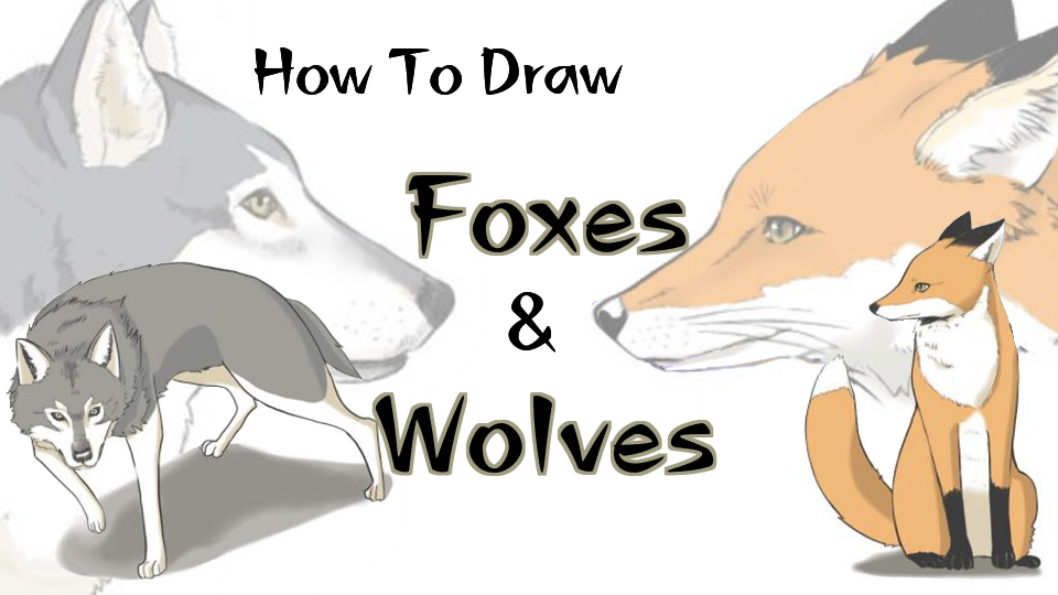 How to Draw Foxes and Wolves | MediBang Paint
