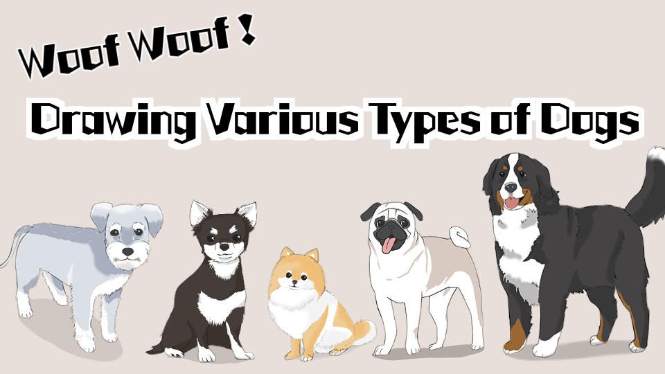 How to Draw Different Types of Dogs | MediBang Paint