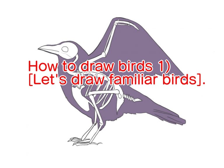 A collection of title placement patterns for the cover | MediBang Paint