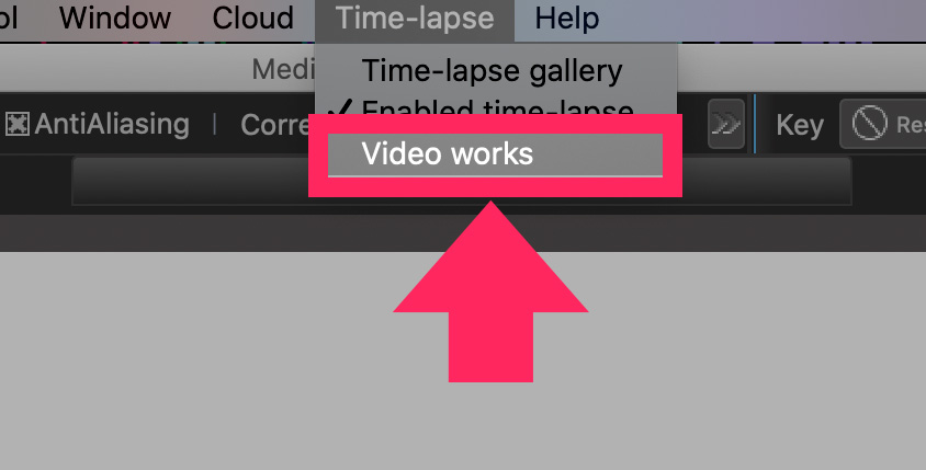 How to use the Time-lapse function | MediBang Paint - the free digital ...