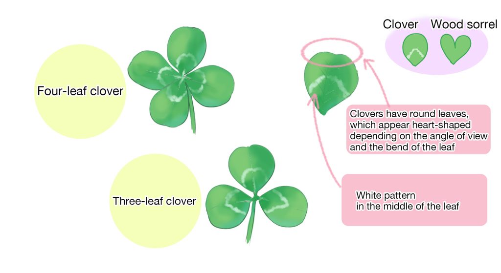 How to draw clovers【and its flower crown, with explanation of flower language】 | MediBang Paint ...