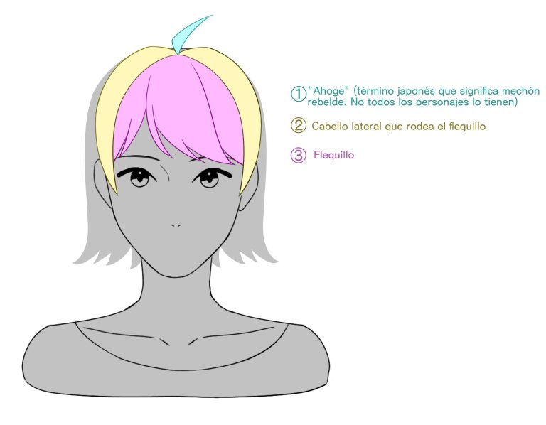Haz que el flequillo realce tus personajes | MediBang Paint - the free ...