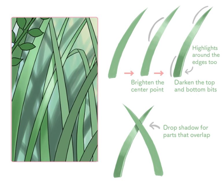 Basic leaf making and distinguishing various types of leaves | MediBang ...