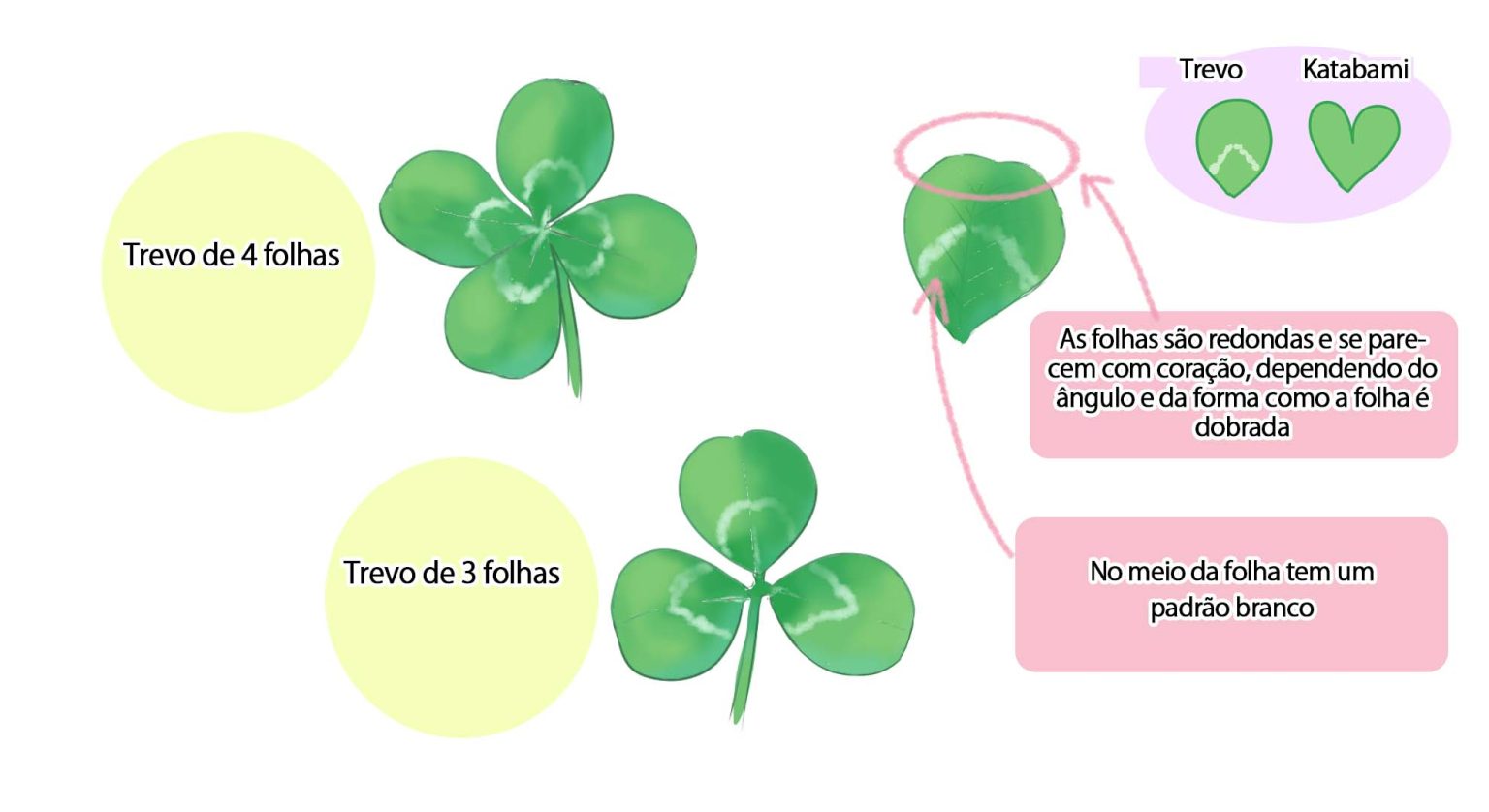 Vamos desenhar trevos 【Significado da flor e como desenhar uma coroa de ...