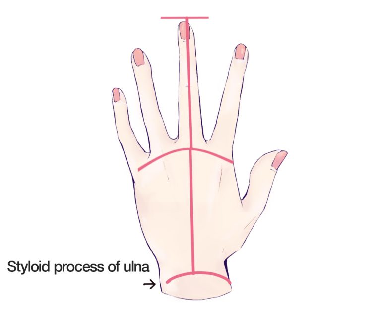 How to draw hands | MediBang Paint - the free digital painting and ...