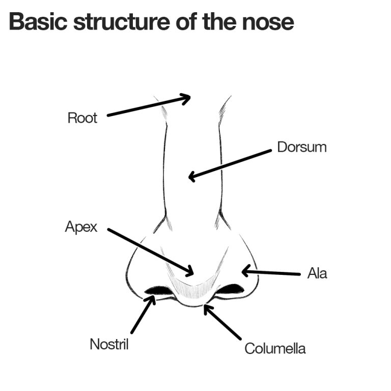 [For beginners] This is actually a crucial part! Review the techniques ...